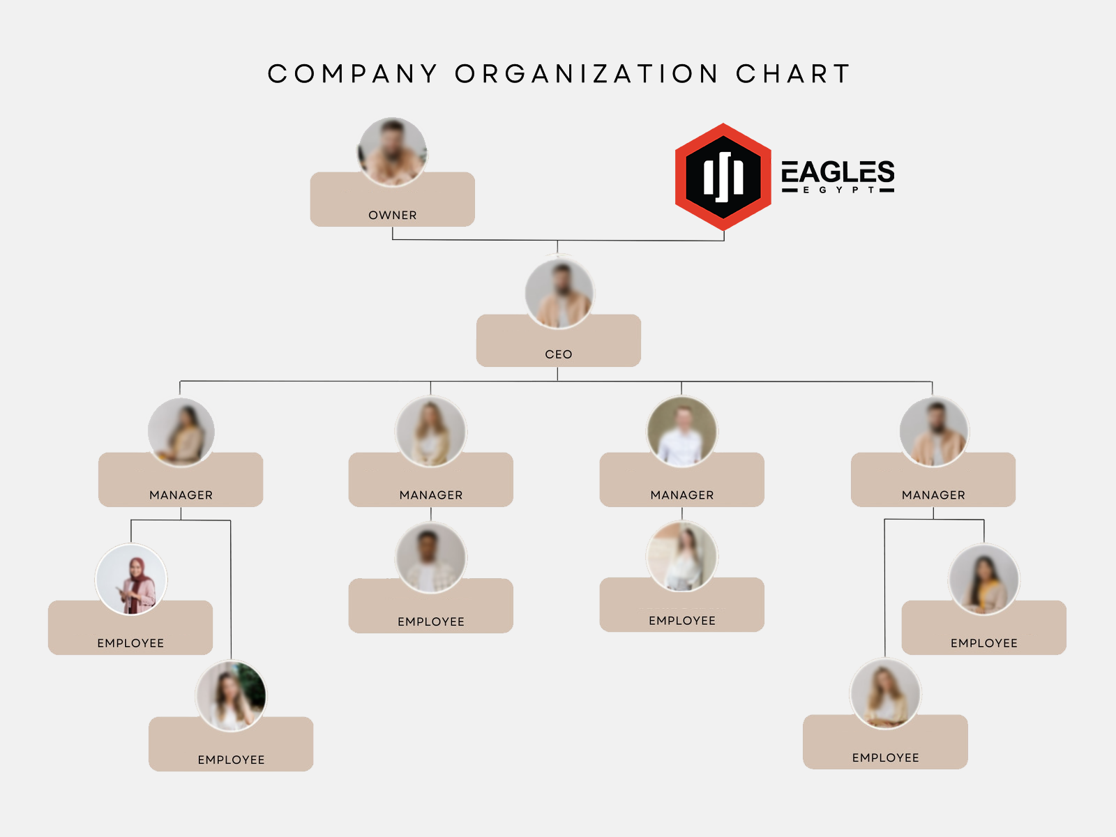 Organization chart – Eagles Egypt